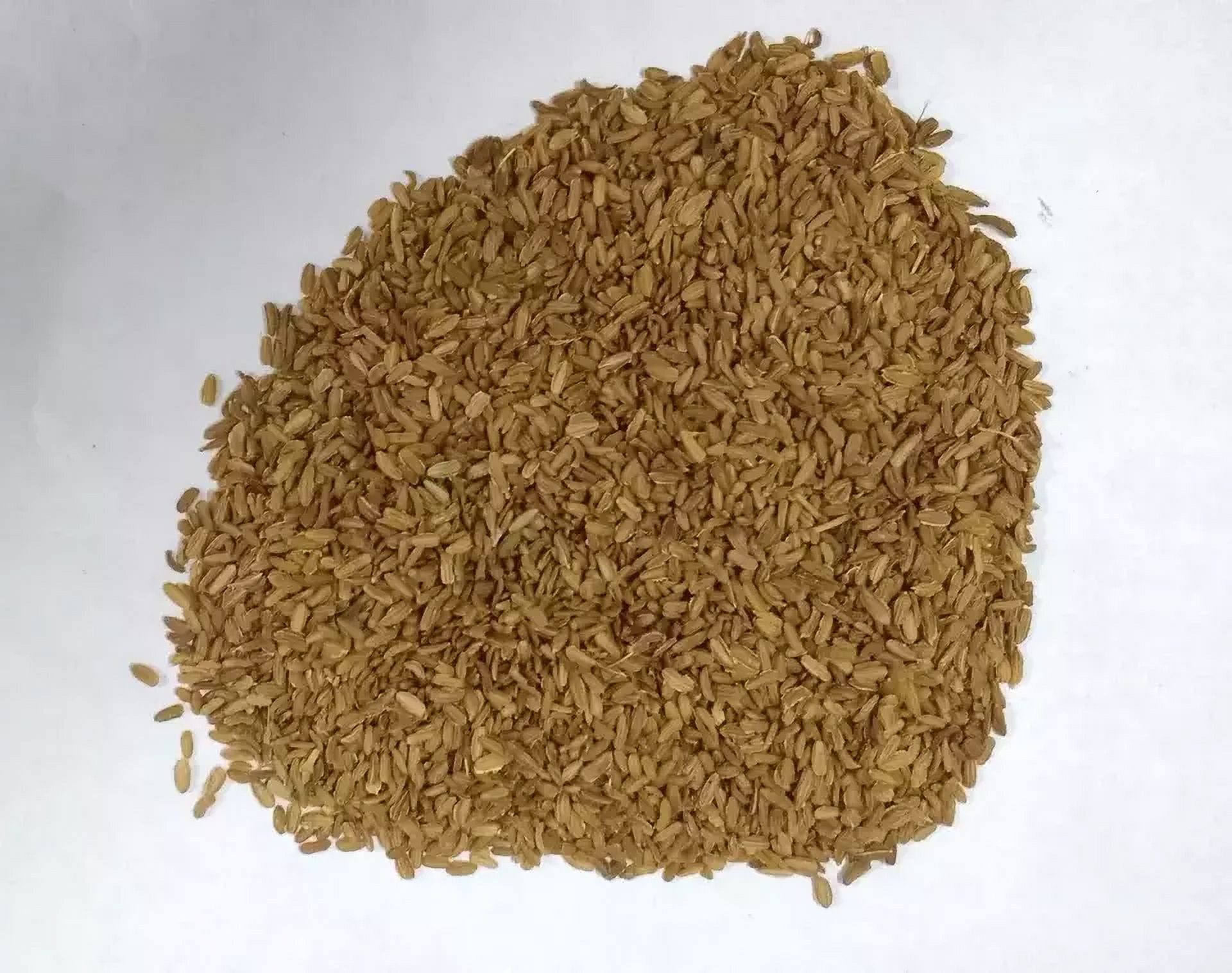 Premium Edible Carrot Seeds (Gajar K Beej) – High-Quality Herb for ...