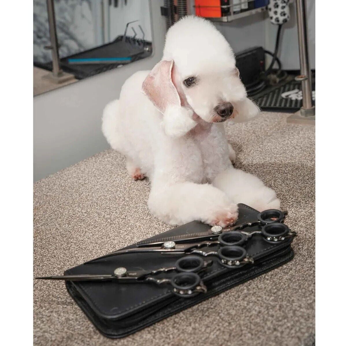 Premium Ergonomic Grooming Shears Mushu VG10 Stainless Steel Titanium ...