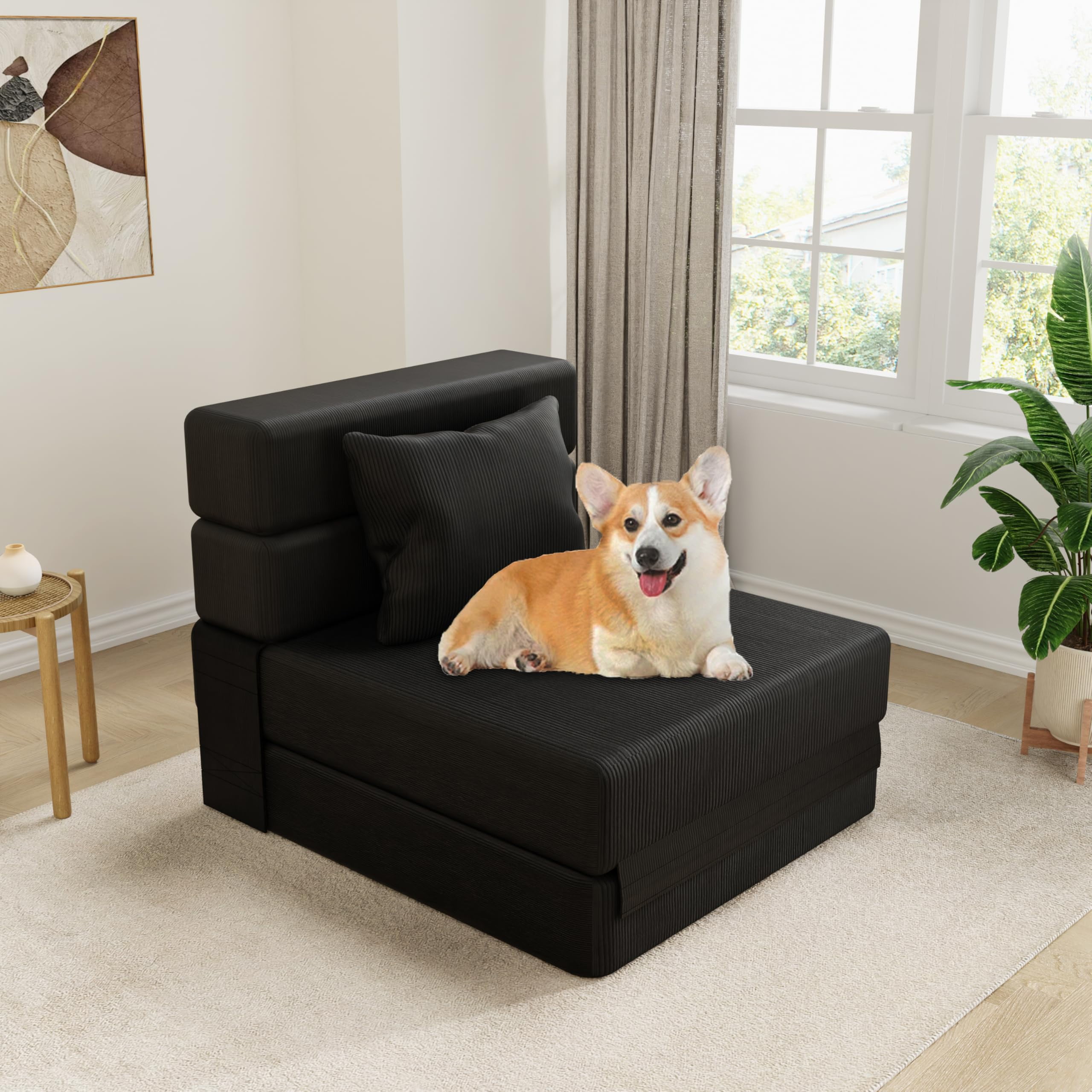 Premium Folding Sofa Bed Convertible Sleeper Chair with Pillow Foldable ...
