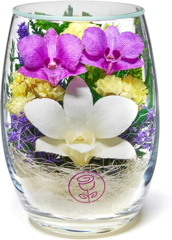 Premium Fresh Cut Preserved Orchid Bouquet in a Sealed Glass Vase ...