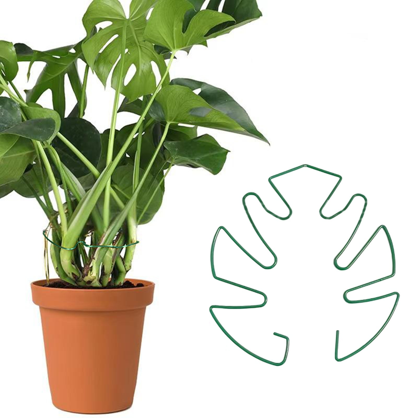 Premium Garden Stake for Potted Plants & Outdoor Shrubs - Plant Support ...