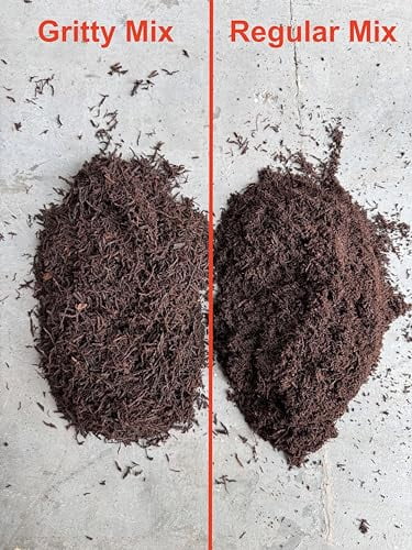 Premium Gritty Zealand Tree Fern Fiber Growing Medium Reptile Substrate ...