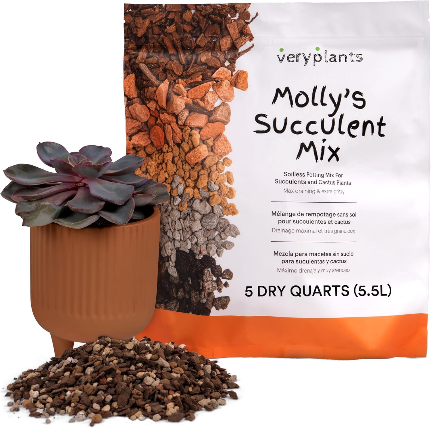 Premium Gritty Soilless Potting Mix for Succulents, Cactus and Bonsai ...