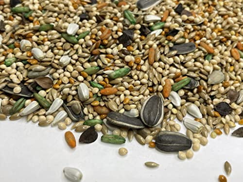 Premium Healthy Nutritional Cockatiel Bird Feed Mix Beneficial Daily ...