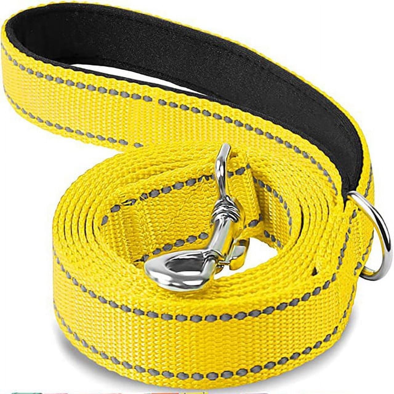 Premium High Visibility Reflective Adjustable Leash for Nighttime Walks ...