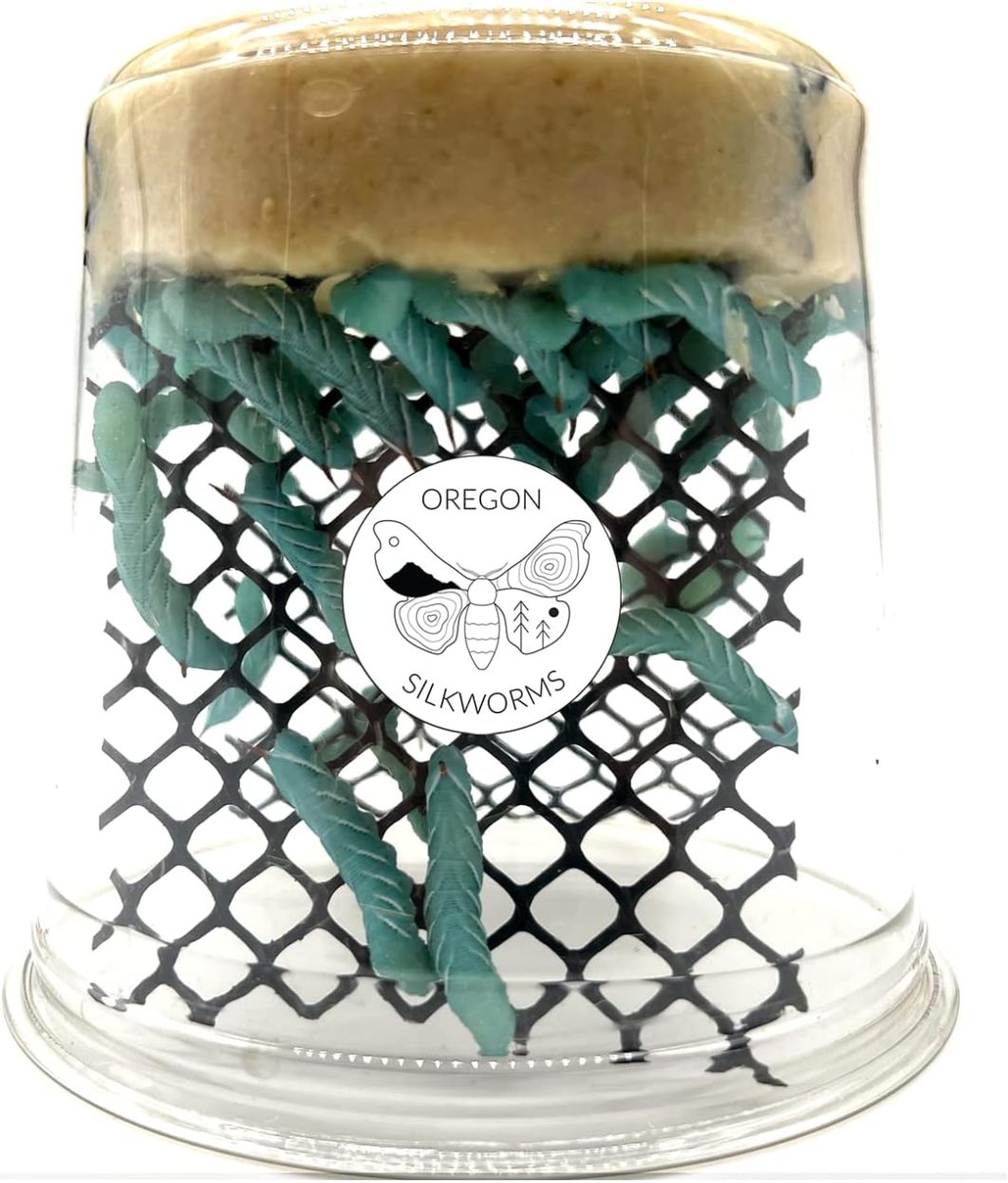 Premium Hornworm Habitat - 26-35+ Count per Cup | Nutrient-Rich Feed ...