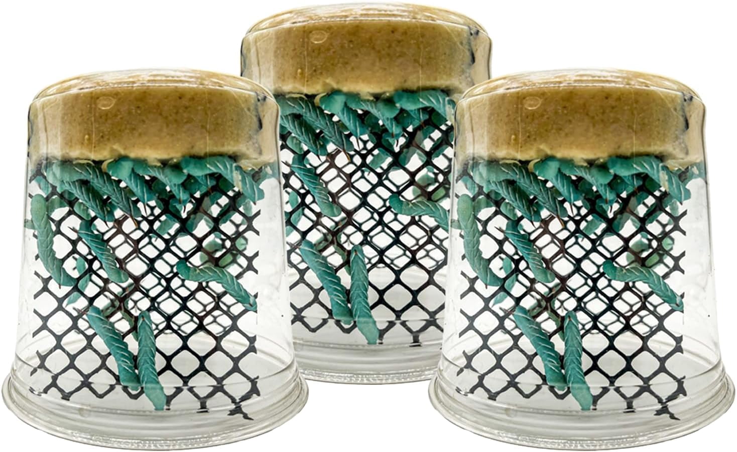 Premium Hornworm Habitat - 75+ Count | Nutrient-Rich Feed for Bearded ...