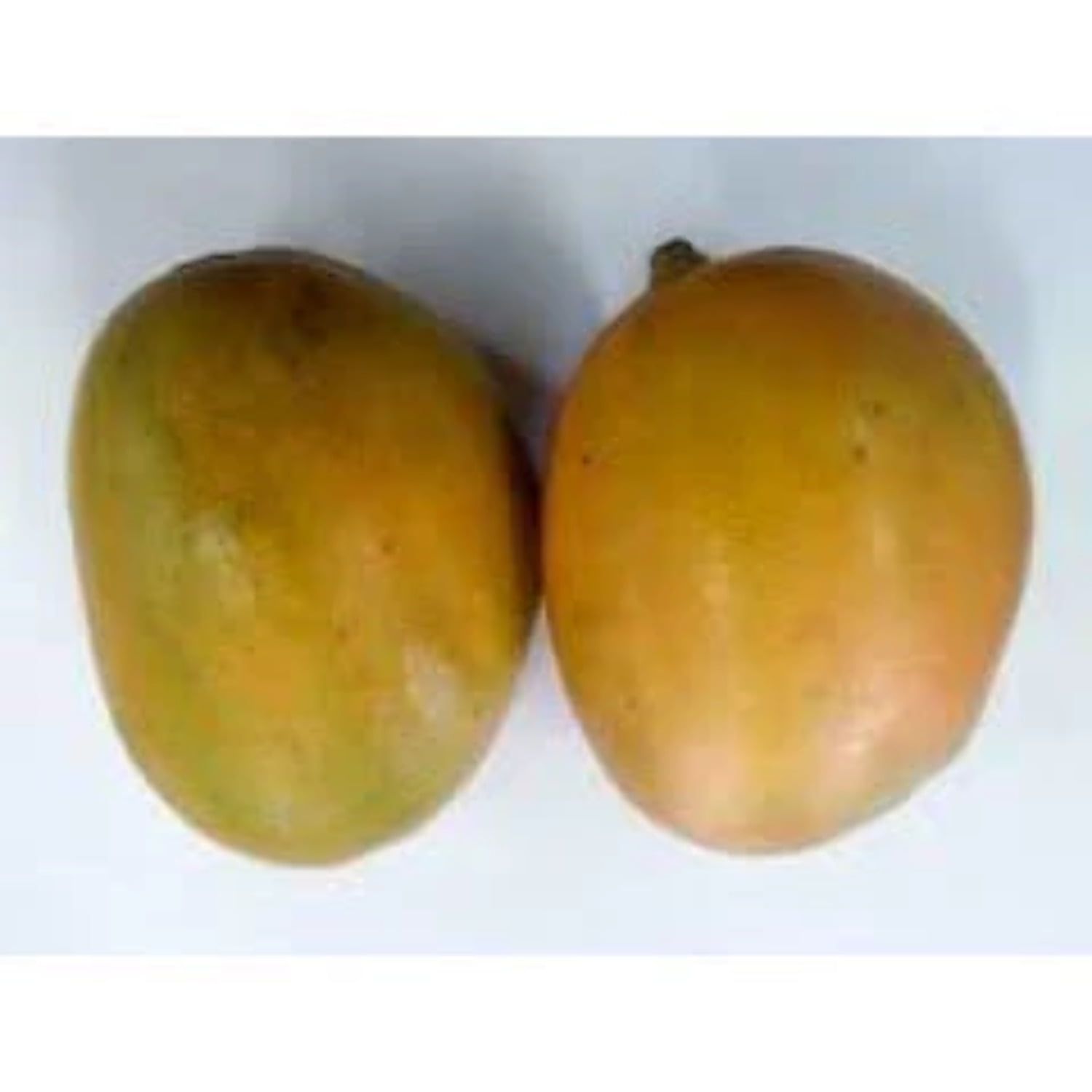 Premium Jamaican Mangoes - JULIE - Walmart.com