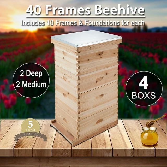Free Shipping! Premium Langstroth Bee Hive 8 Frame 2 Deep 2 Medium, All ...