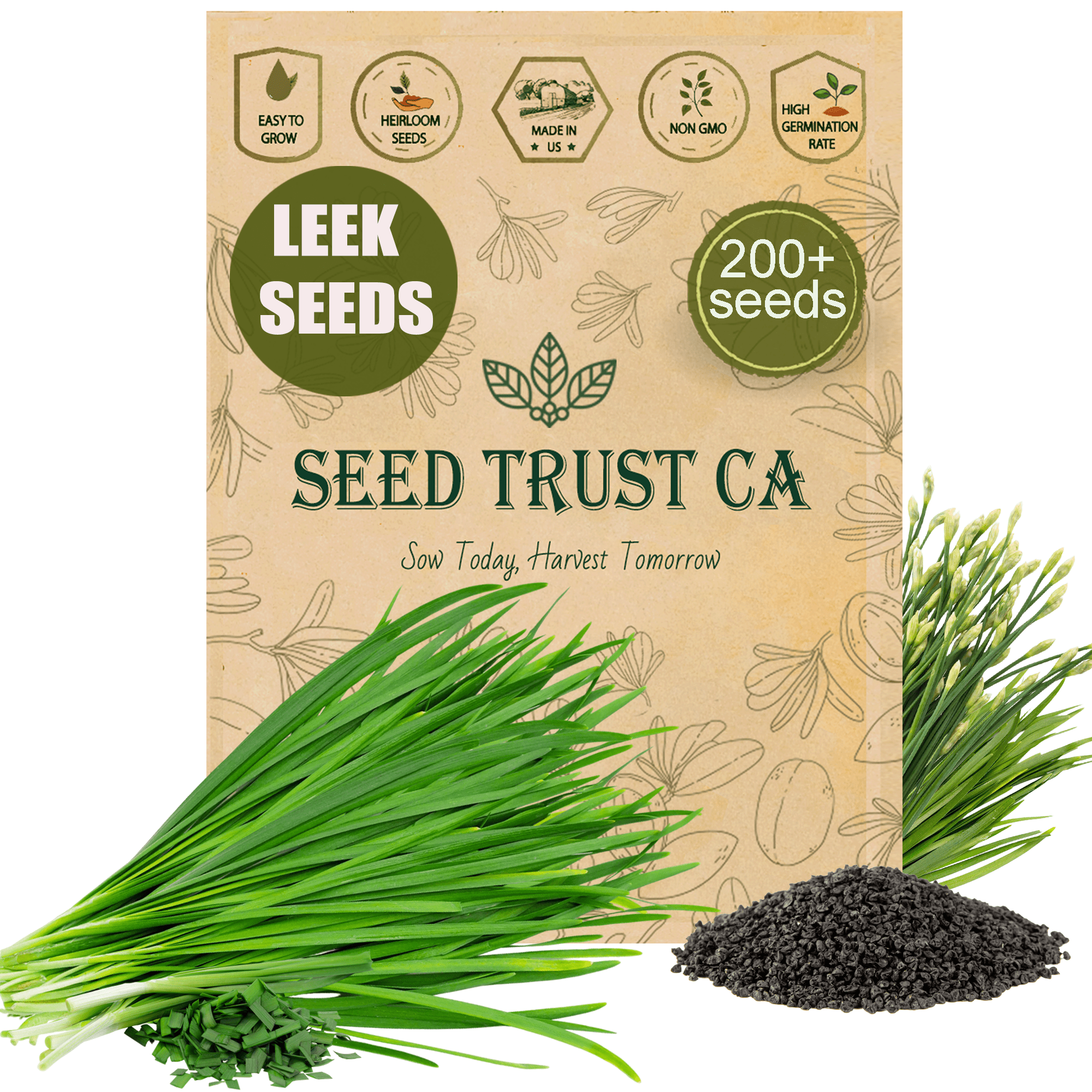 Premium Leek Seeds for Planting – 200 Non-GMO Seeds for Planting – High ...