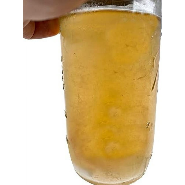 Premium Liquid Culture Kit Easy Spore Germinating & Mushroom Cloning ...