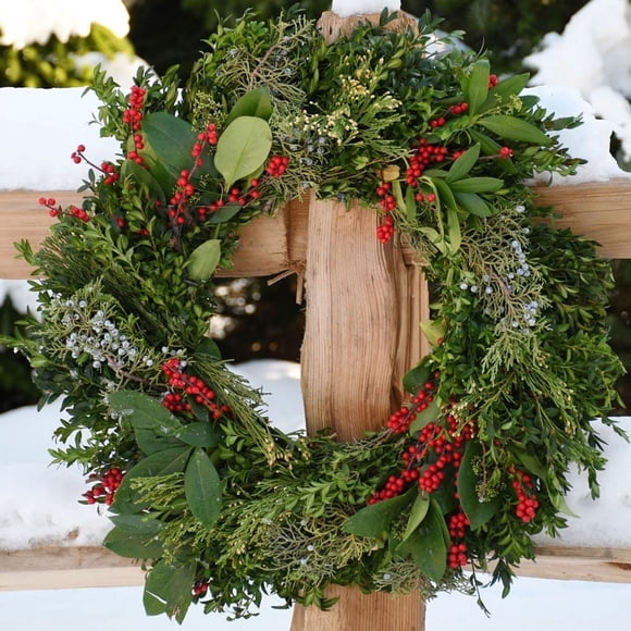 Live Christmas Wreaths