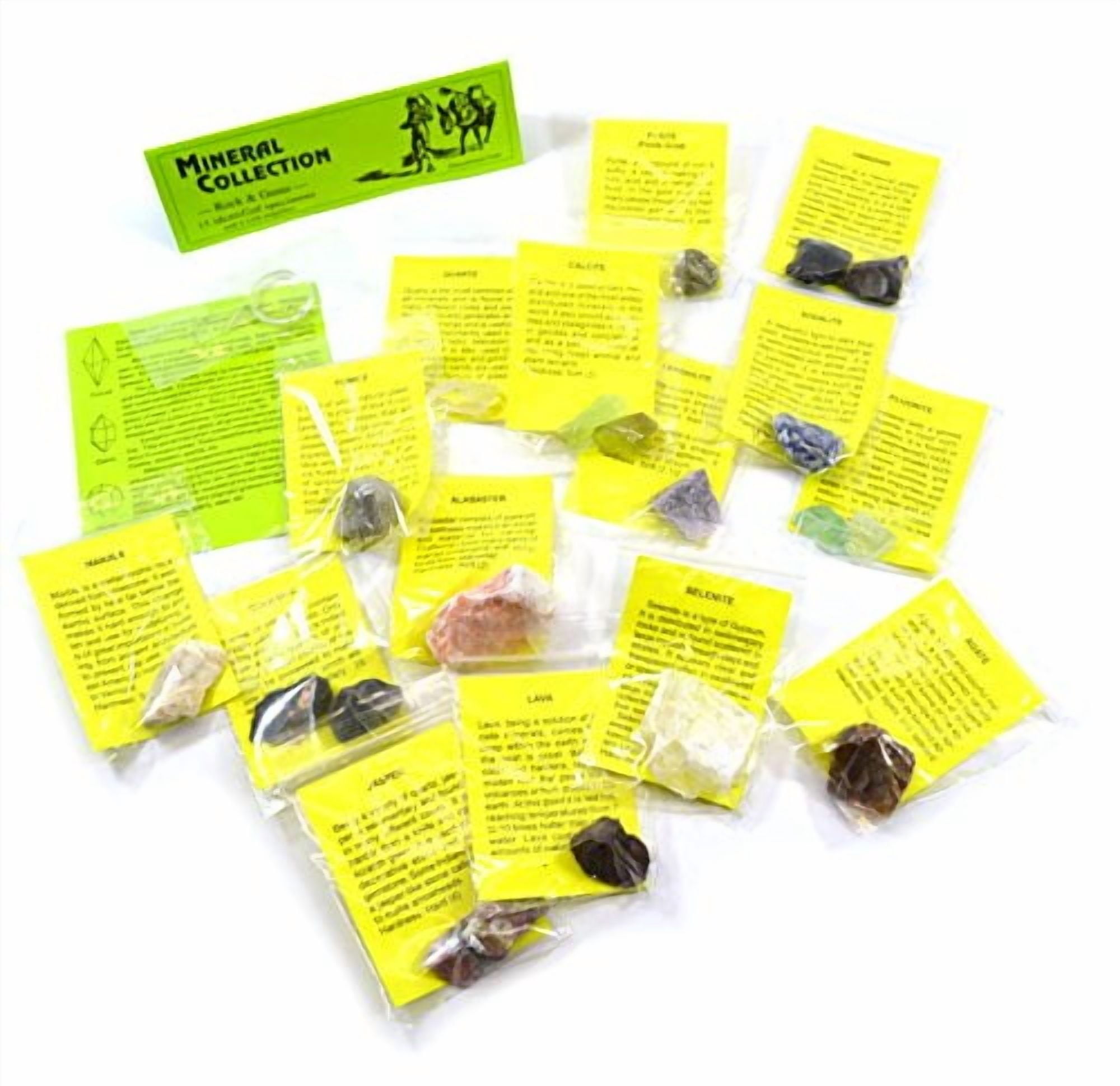 Premium Mineral Collection with 15 Identified Specimens and 4.5X Hand ...