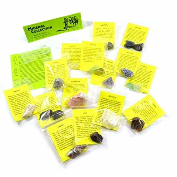 Premium Mineral Collection with 15 Identified Specimens and 4.5X Hand ...