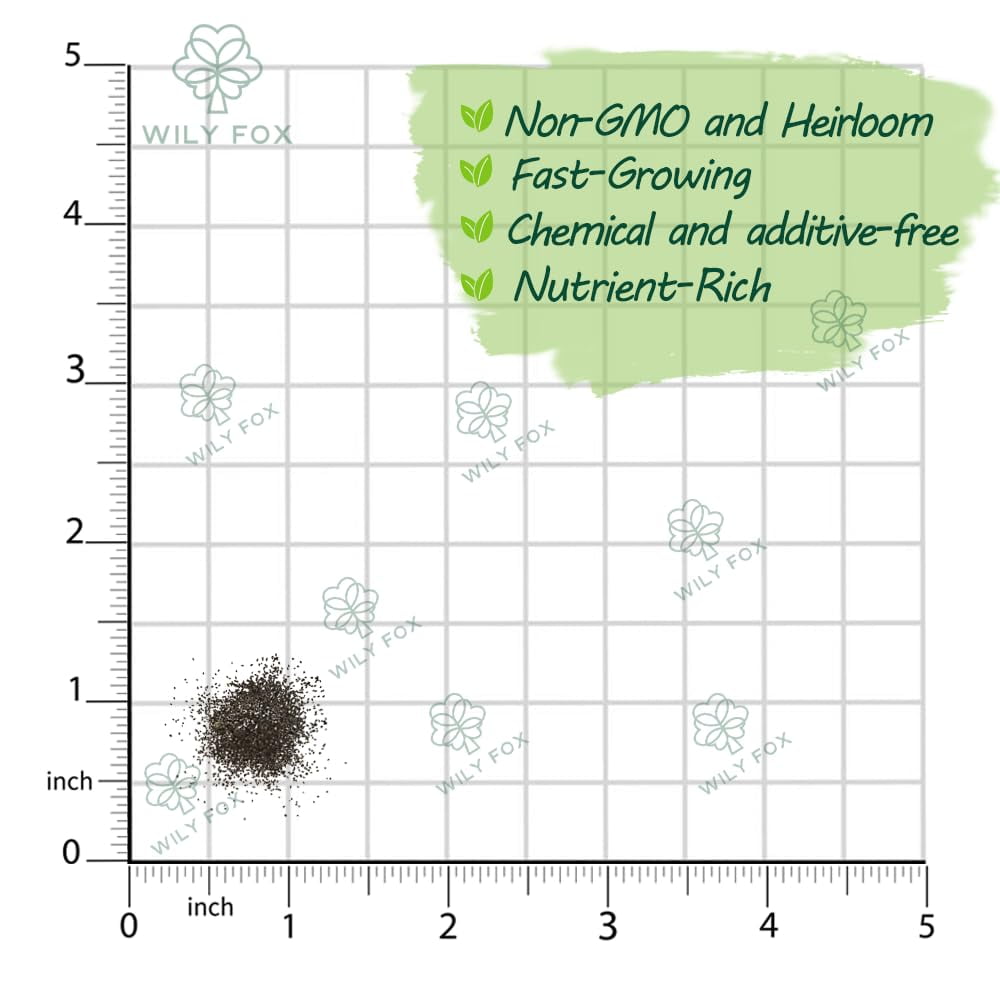 Premium Mullein Seeds AJH3 (Verbascum thapsus) - 150+ Non-GMO Heirloom ...