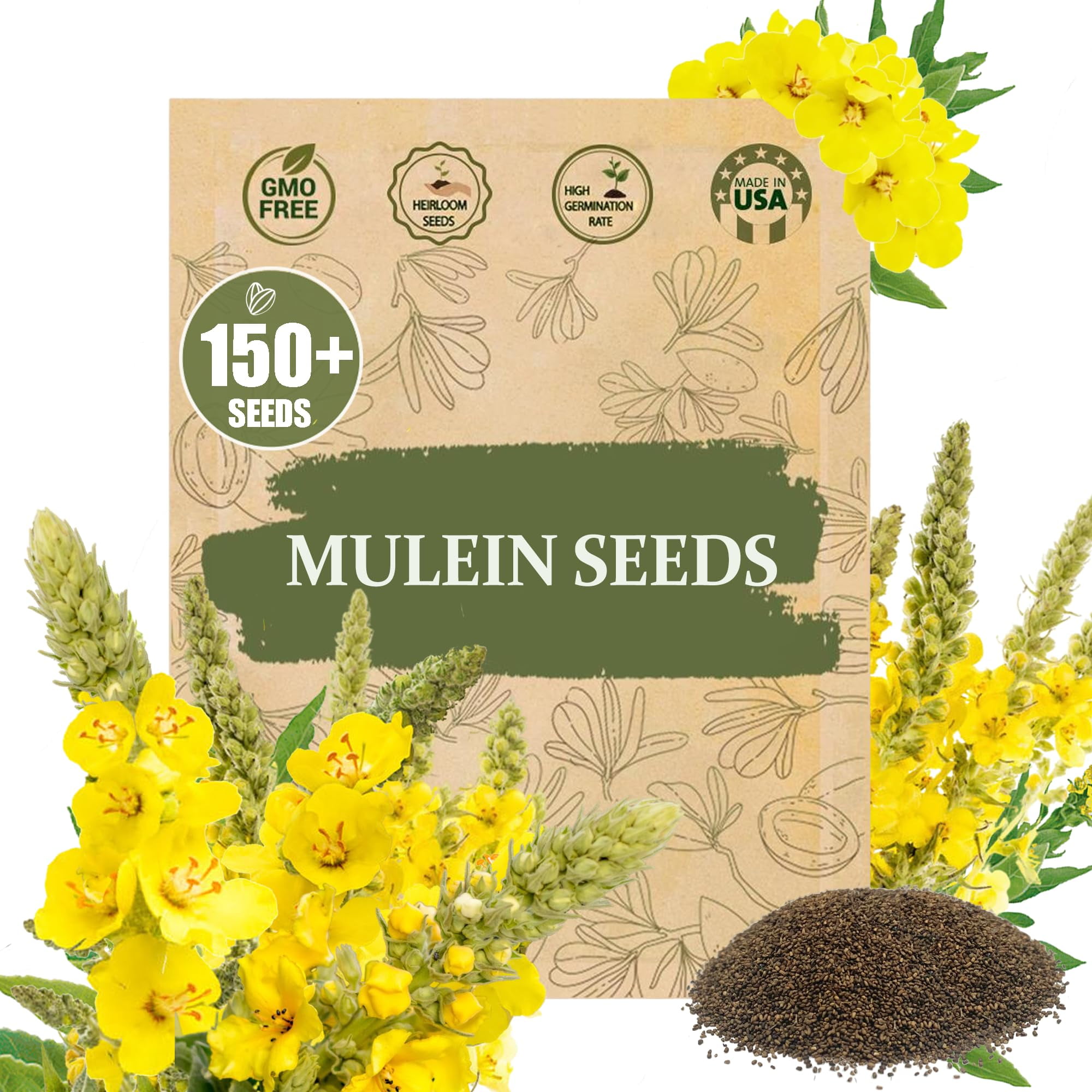 Premium Mullein Seeds (Verbascum thapsus) - 150+ MHD1Non-GMO Heirloom ...