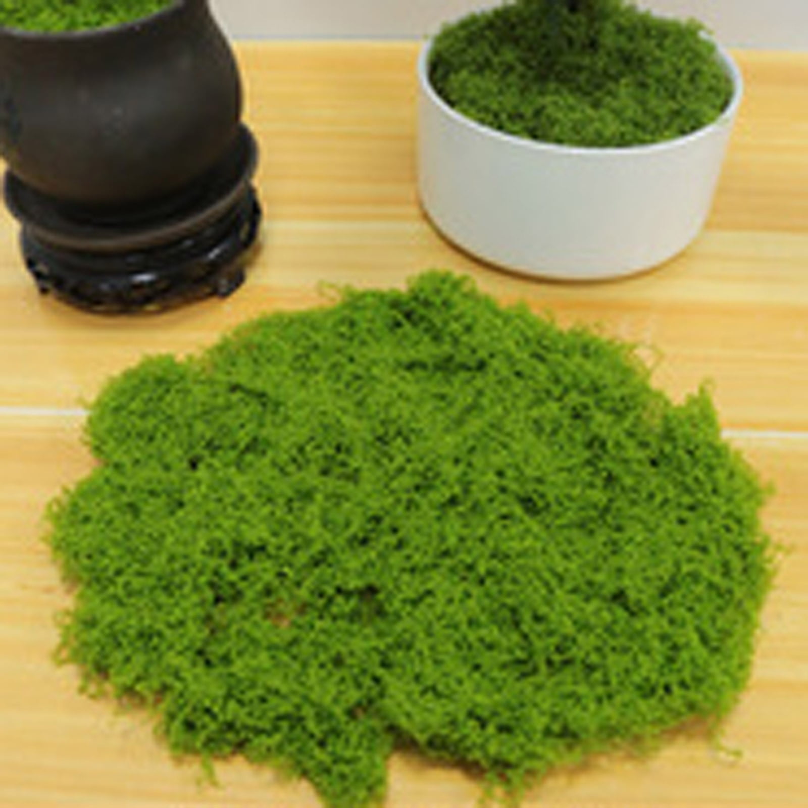 Premium Natural Dried Green Moss for Crafts, Plant Decoration ...