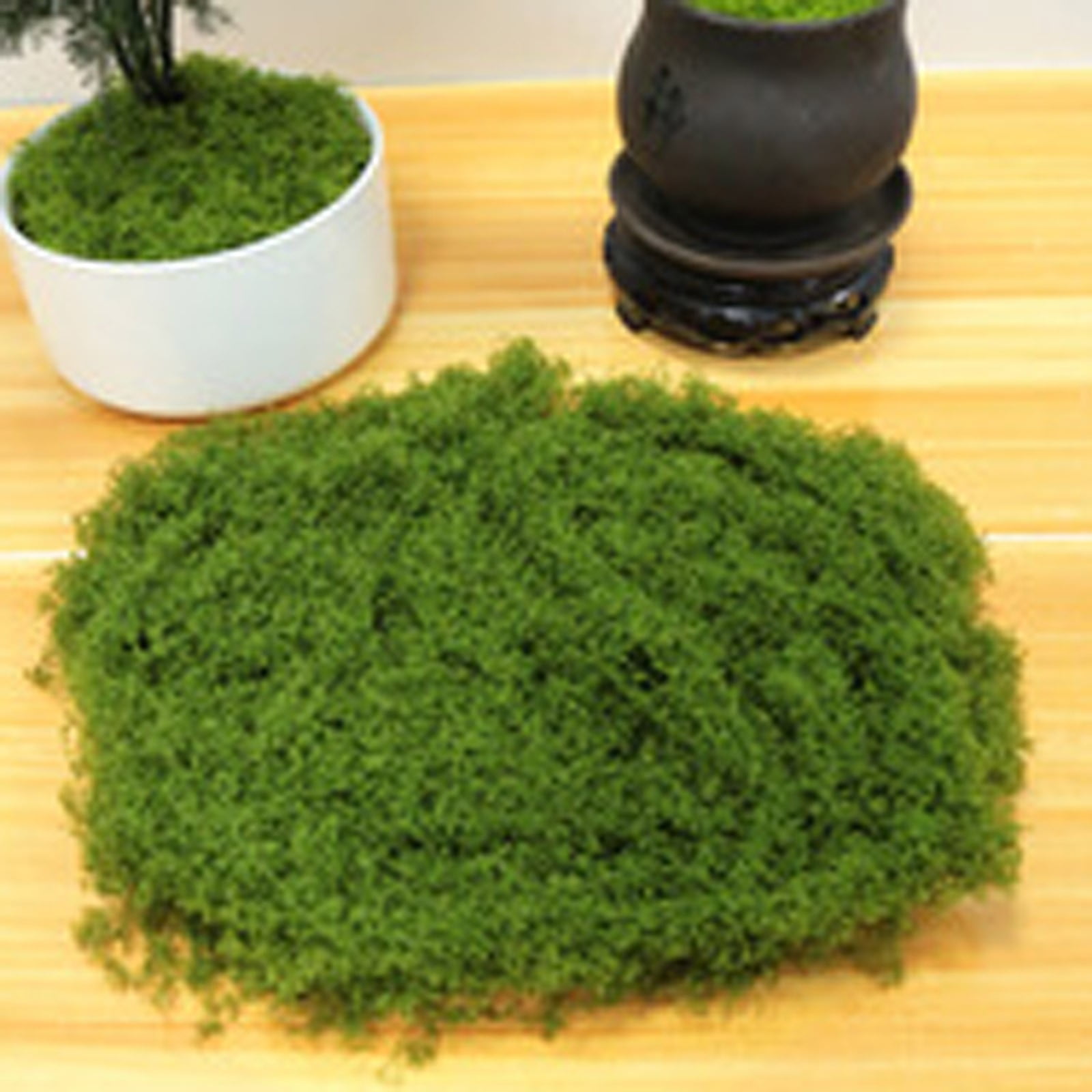 Premium Natural Dried Green Moss for Crafts, Plant Decoration ...