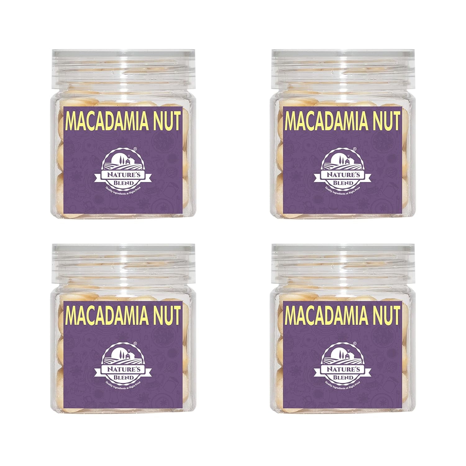 Premium Natural Macadamia Nut By Nature'S Blend 400gm, (100gm * 4 ...