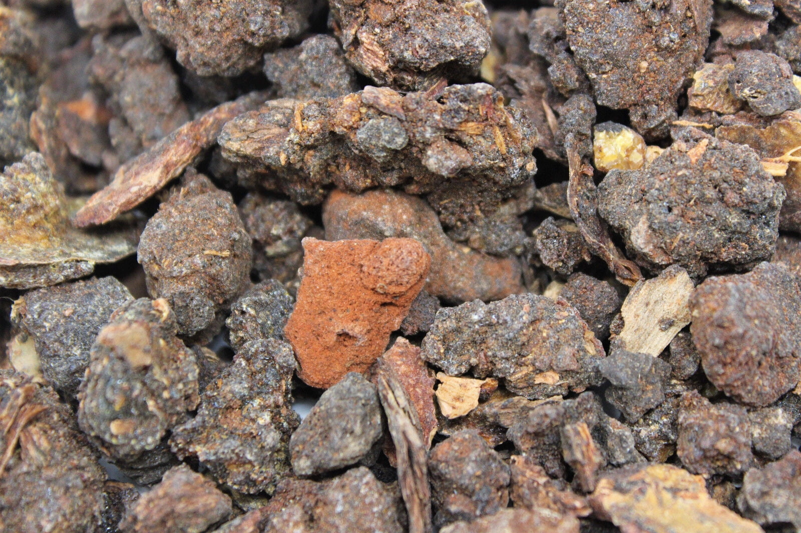 Premium Natural Myrrh Gum Resin Incense: 1 lb Bulk Lot (16 oz, Sap Rock ...