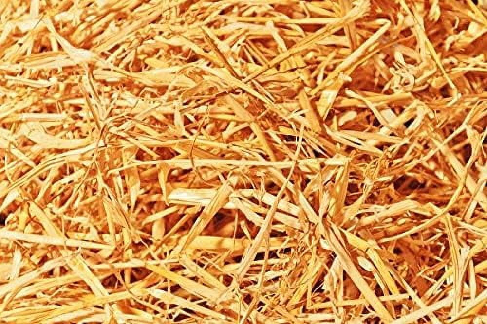 Premium Organic 100% Natural Straw for Animal Bedding, Garden Mulch ...