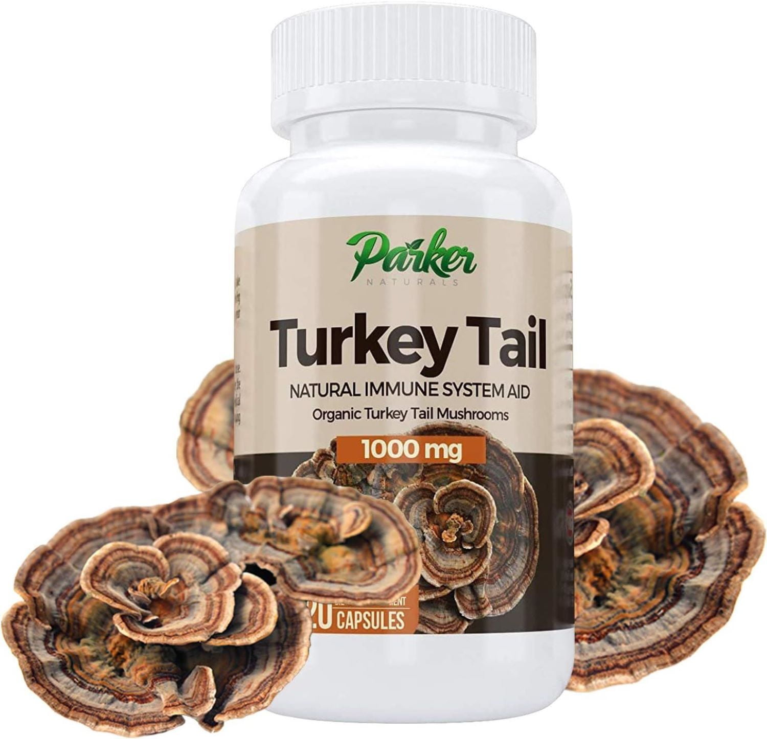 Premium Organic Turkey Tail Mushroom Capsules Supports Immune System ...