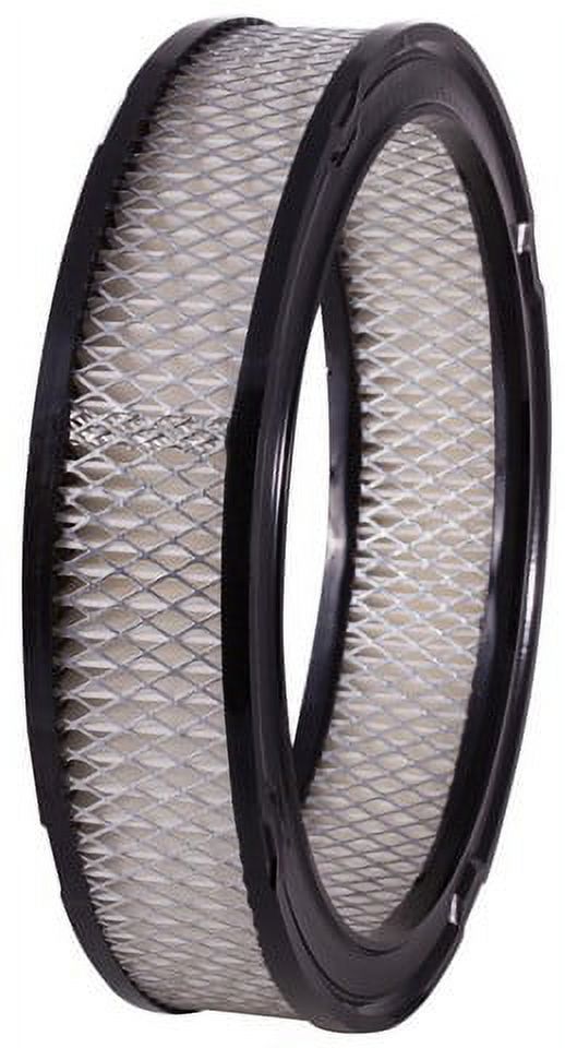 Premium PA45 Premium Guard Air Filter Fits select: 1966-1967 FORD ...