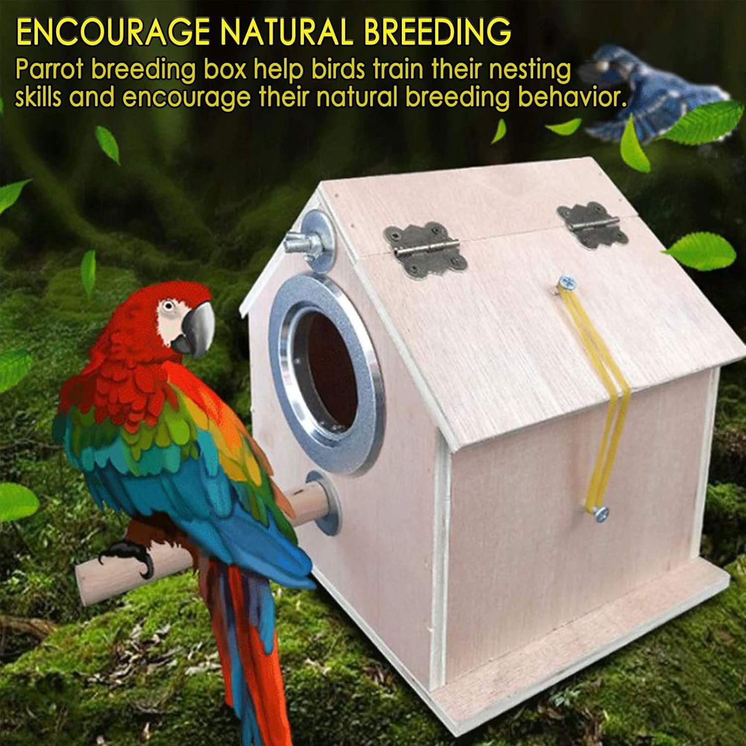 Premium Parrot Nest Box for Breeding - Safe & Easy to Clean Design ...