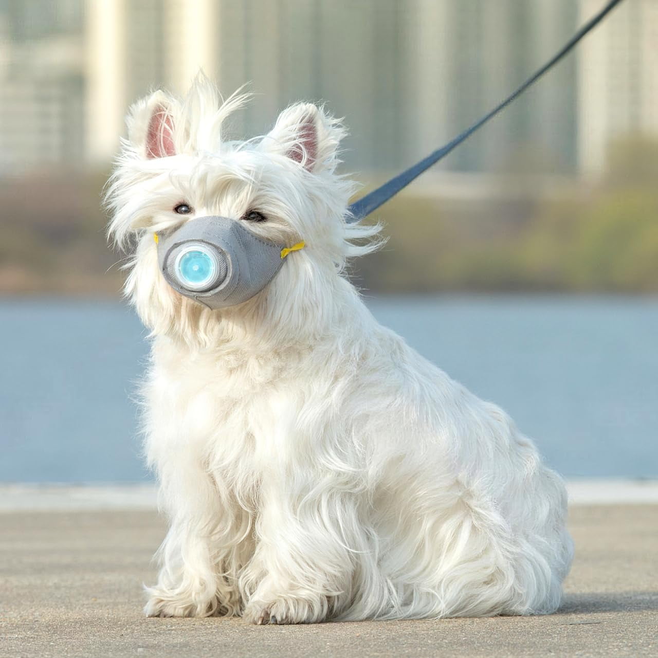 Premium Pet Dust Mask - Adjustable Dog Muzzle Cover with Air Filter ...