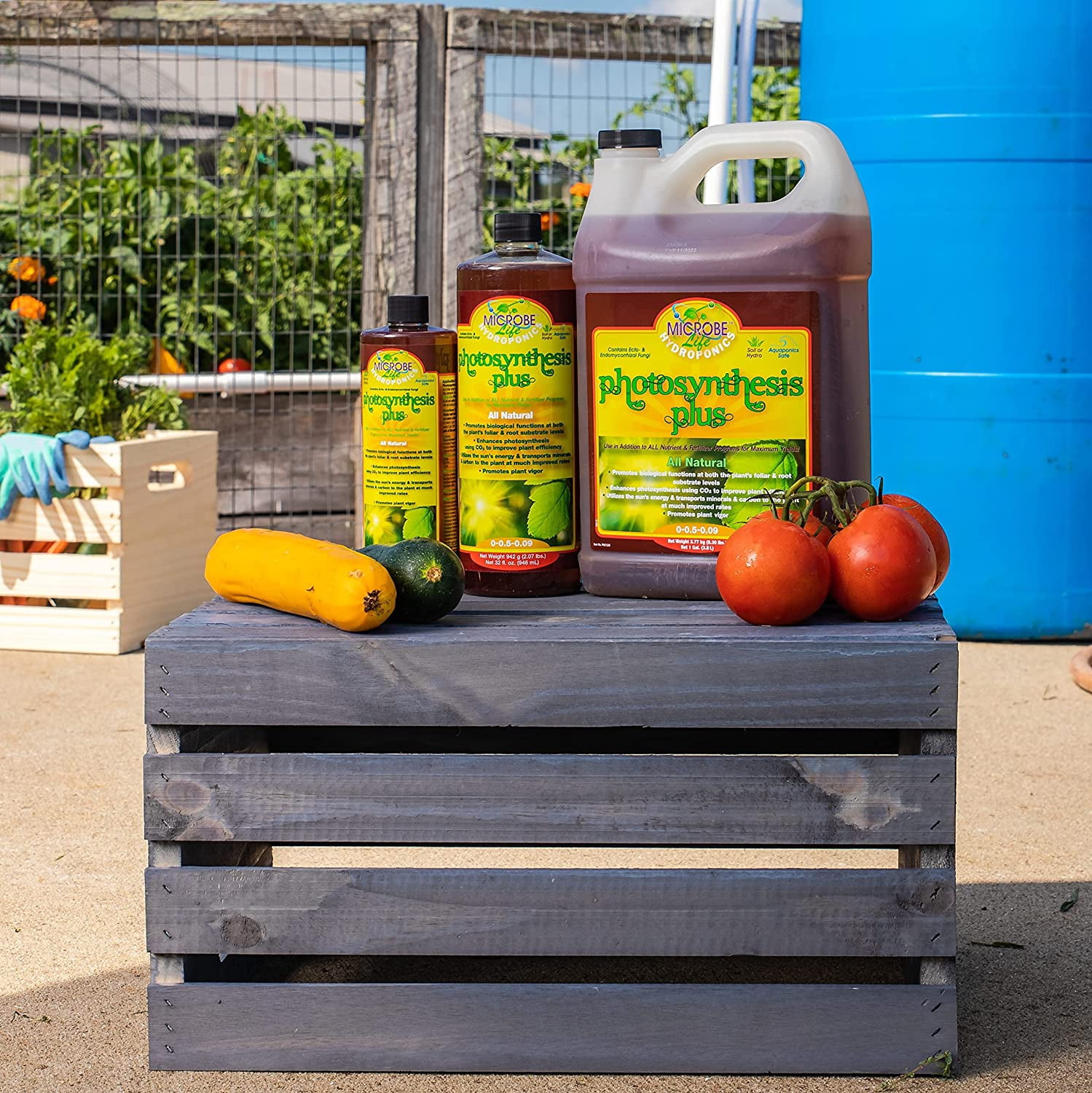 Premium Photosynthesis Plus-C to Grow Fruits, Vegetables, and Herbs ...