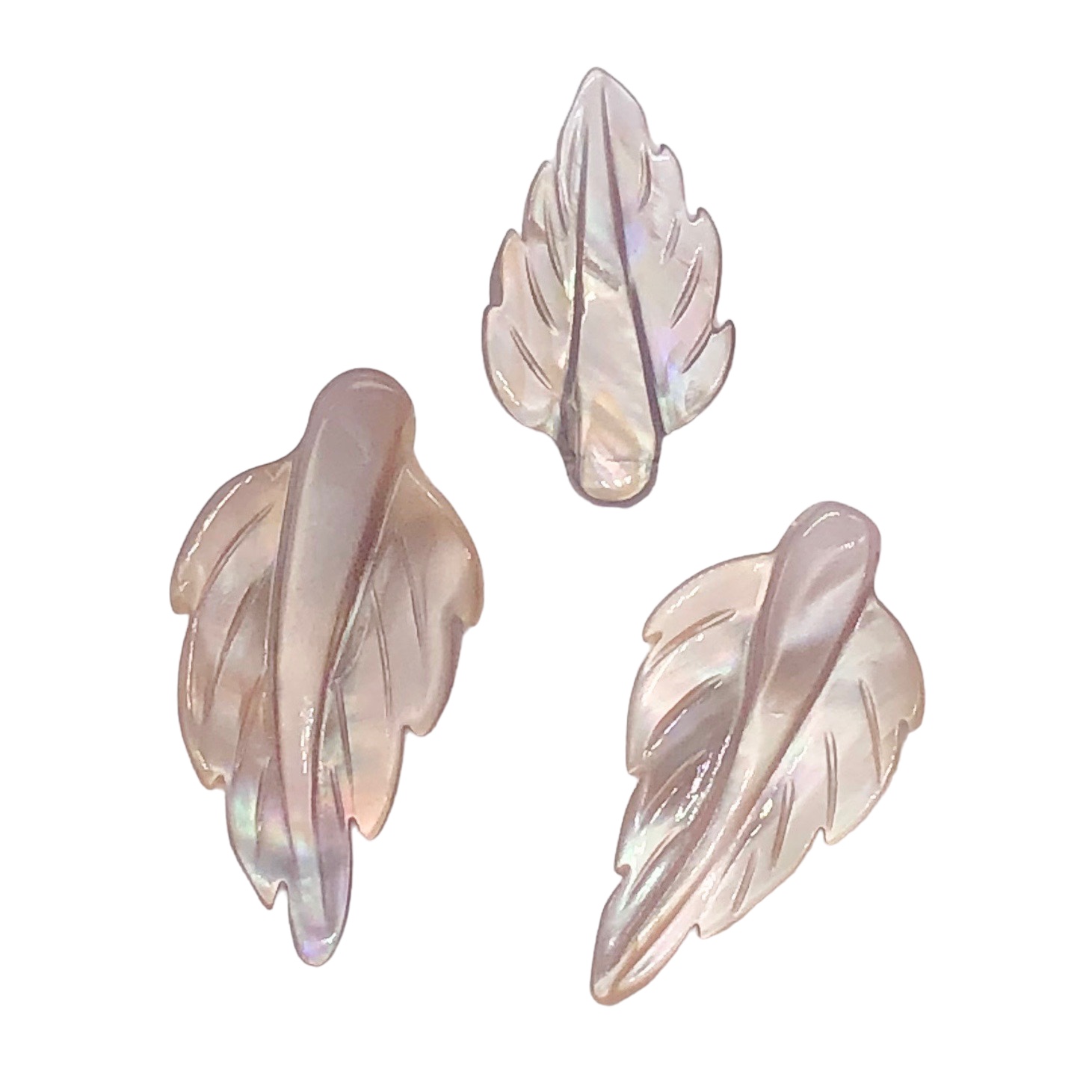 Premium Pink Mussel Shell Leaf Pendant Beads | 21x8x2 - 30x19x2mm | 3 ...