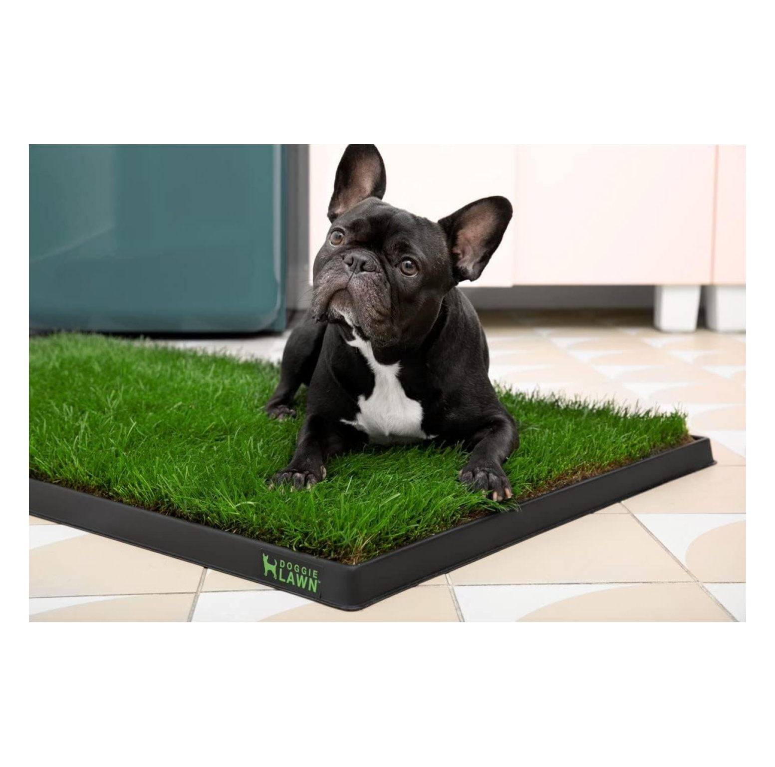 Premium Plastic Tray for XL Real Grass Potty Pad - Indoor and Outdoor ...