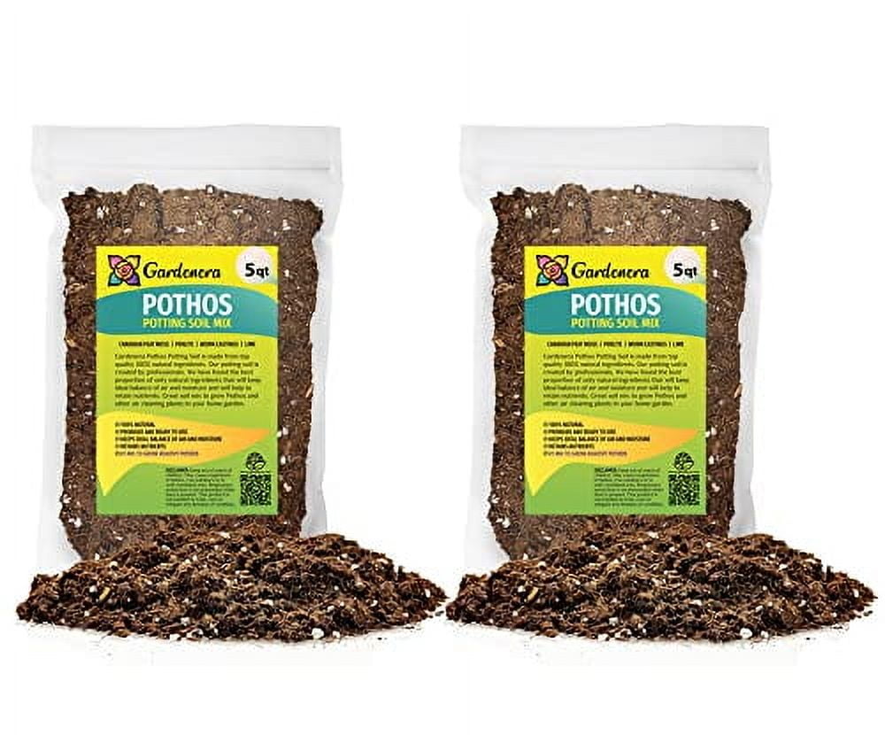 Premium Pothos Potting Soil Mix - Air Cleaning Plant Potting Mix, Soil ...