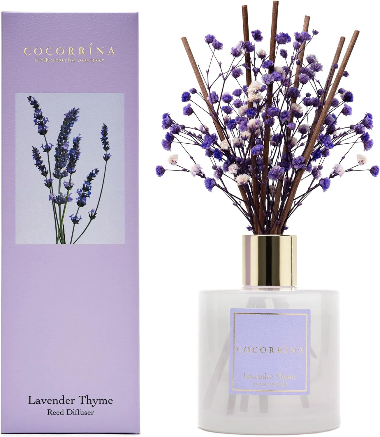 Premium Reed Diffuser Set with Preserved Baby's Breath & Cotton Stick ...