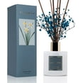 Premium Reed Diffuser Set with Preserved Baby's Breath, Cashmere ...