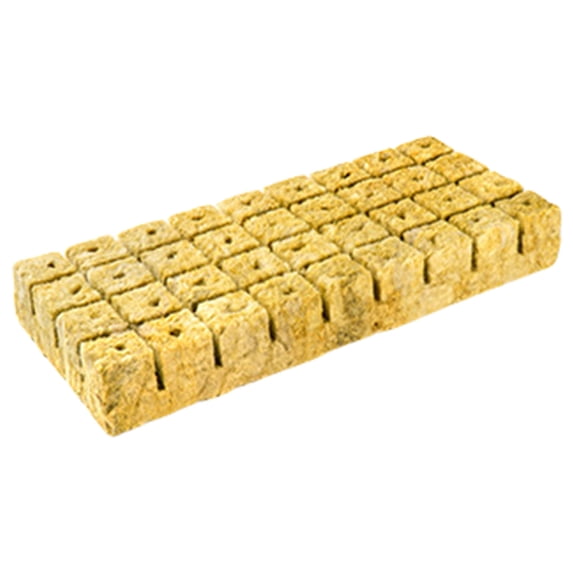 Premium Rock Wool Growing Block Set Ideal for Indoor and Outdoor ...