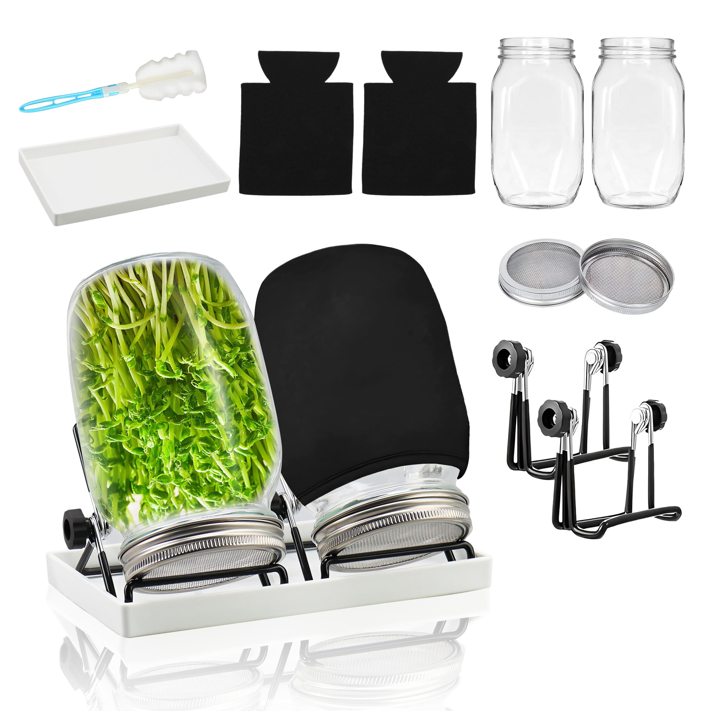 Premium Sprouting Jar Kit - 380ML, 2Pcs Large Wide Mouth Mason Jars ...