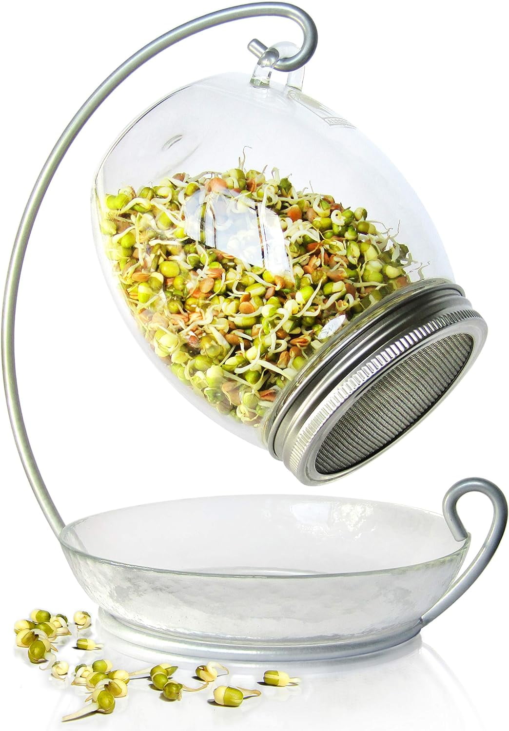 Premium Sprouting Jar Kit - Unique 30 oz Wide Mouth Sprouting Jar ...