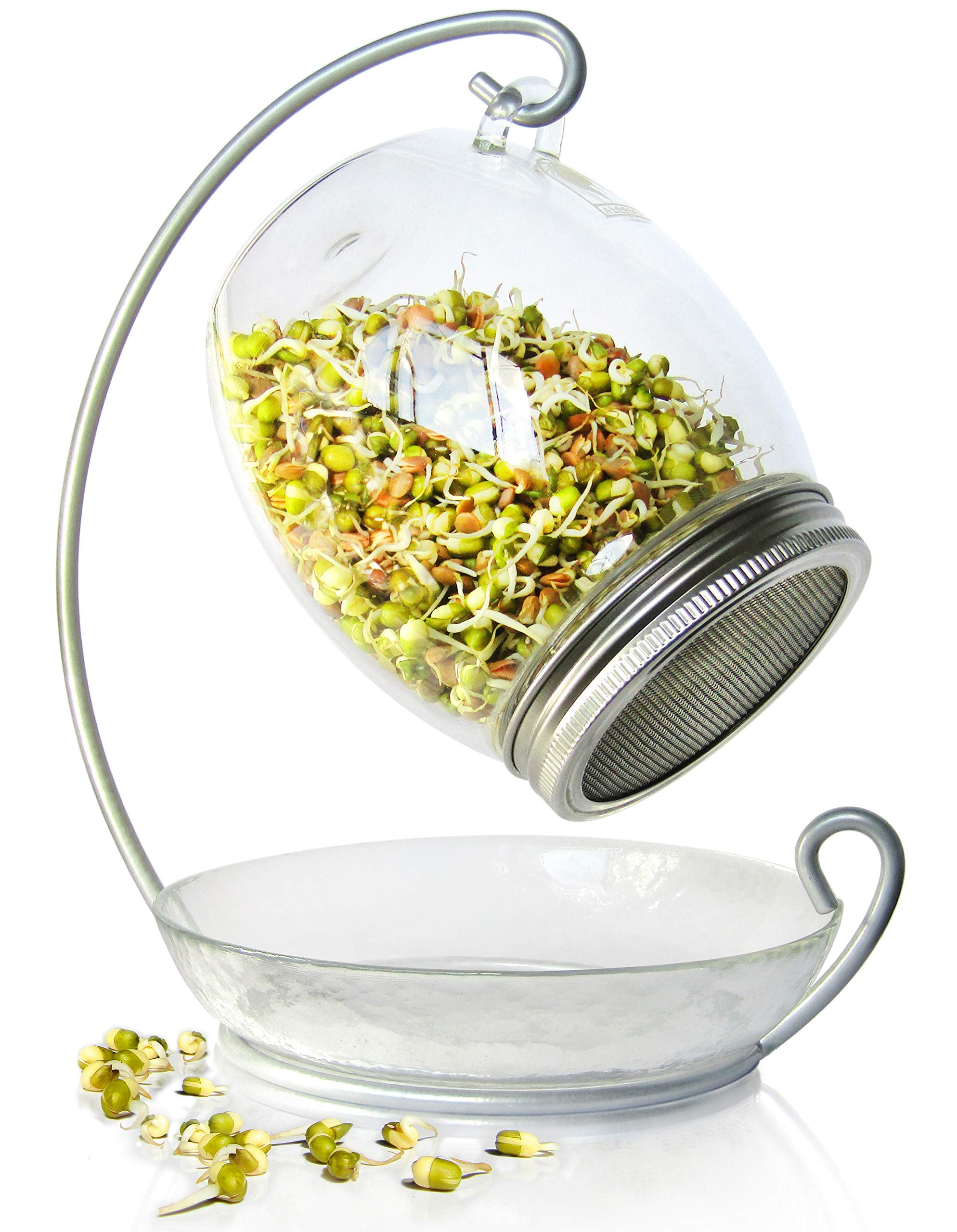 Premium Sprouting Jar Kit - Unique BSL1 30 oz Wide Mouth Sprouting Jar ...