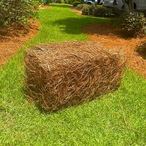 Pine Straw in Mulch - Walmart.com