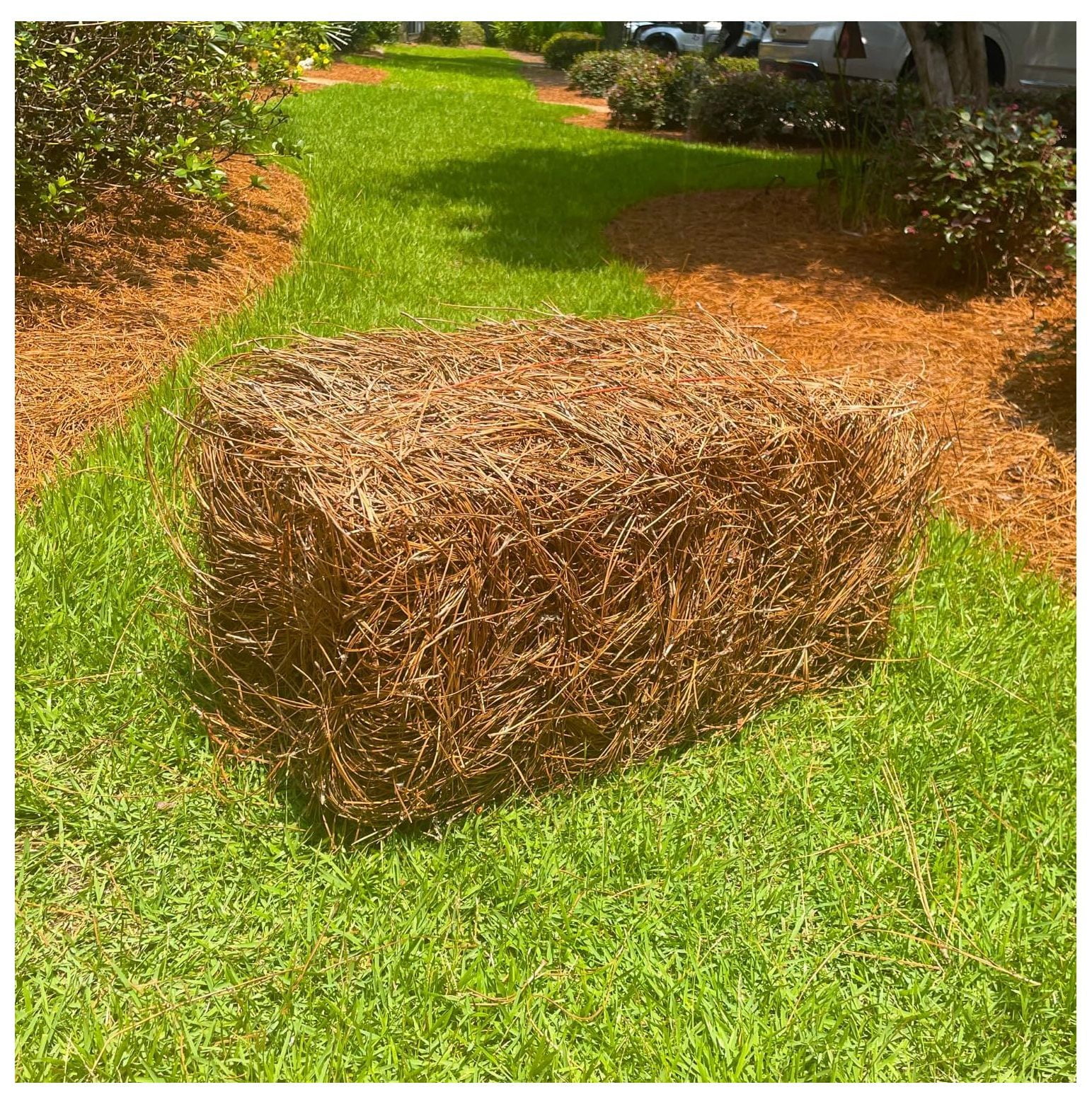 Premium Pine Straw Bale: Longleaf, Easy to Spread | Eco-Friendly, Ideal ...