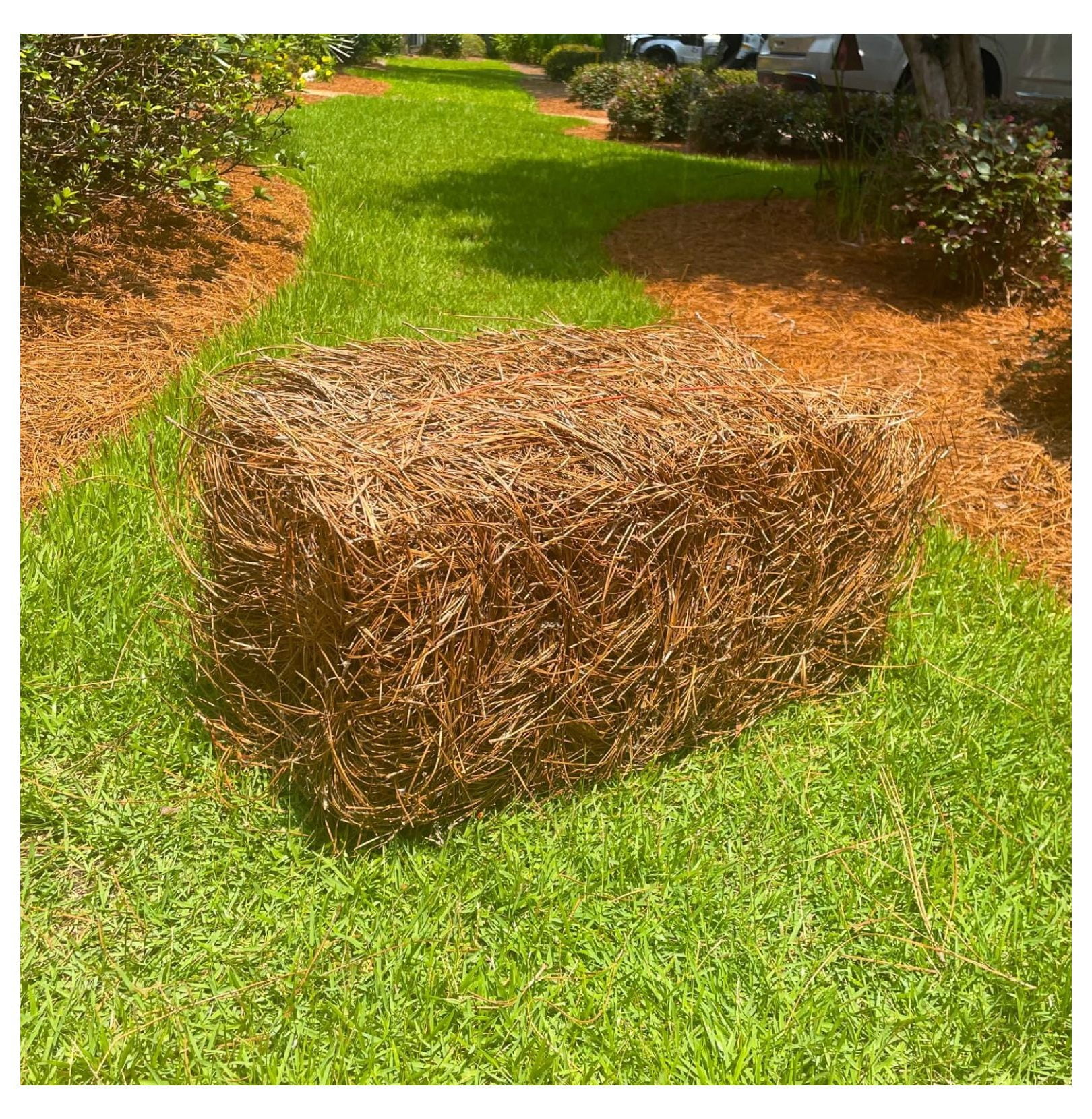 ByEUcuk Light-Brown Pine Straw Mulch, 65-70 sq ft with Eco-Friendly ...