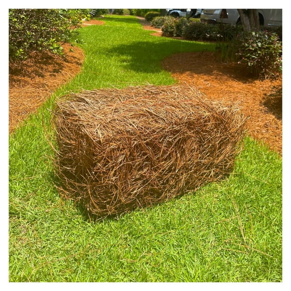 Premium Mulch for Landscaping - Lawn Maintenance for Business Needs