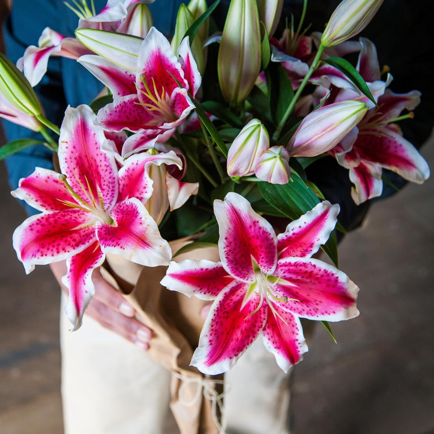 Premium Star Lily Bouquet with French Bucket Vase, Farm Fresh, Next Day ...
