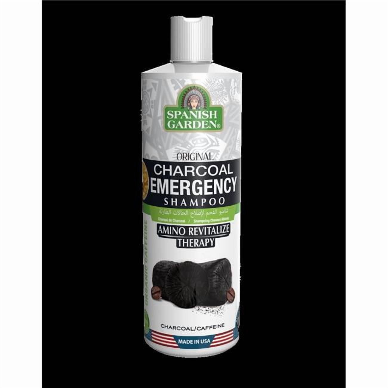 Premium The Original Charcoal Emergency Shampoo (Charcoal) - Walmart.com