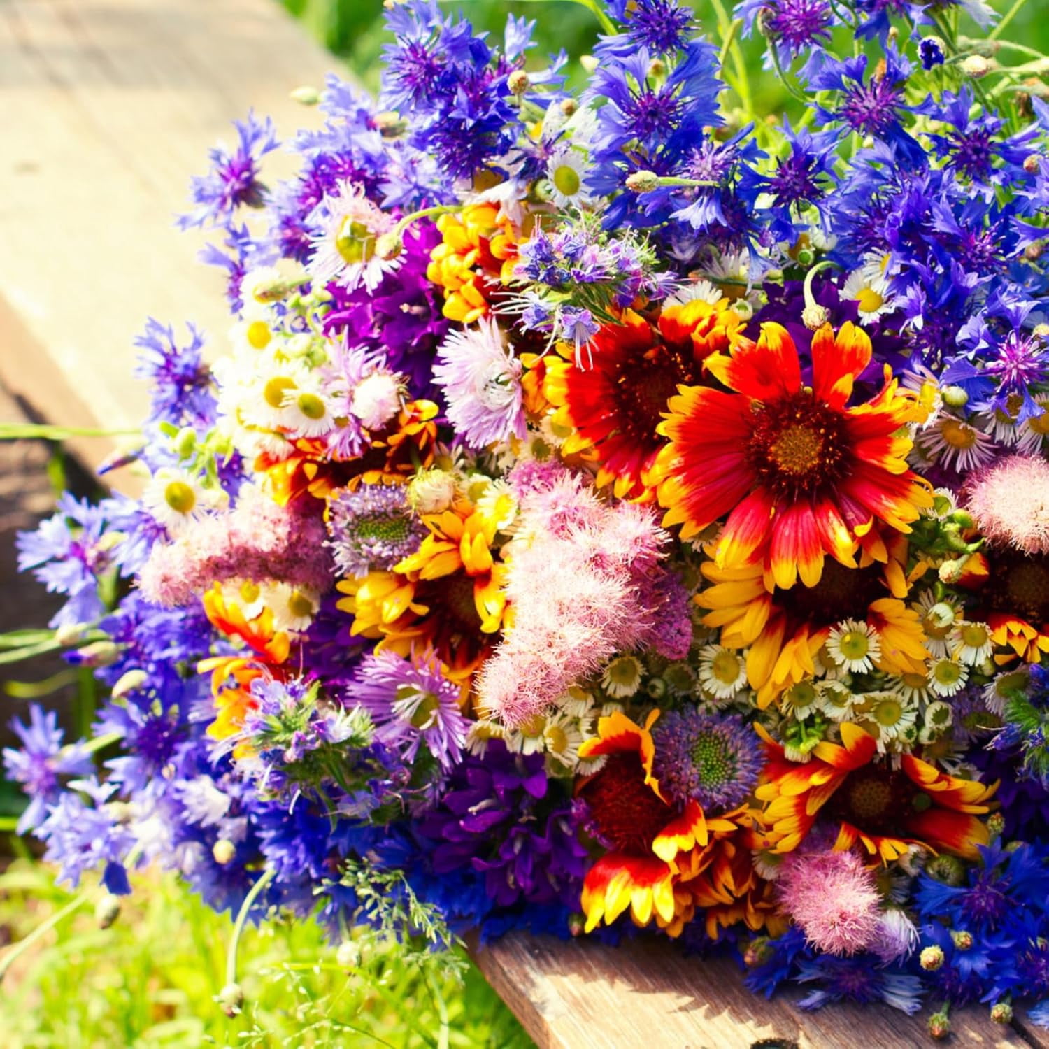 Premium Wildflower Seeds - Annual & Perennial Mix | Non-GMO - 15+ Open ...