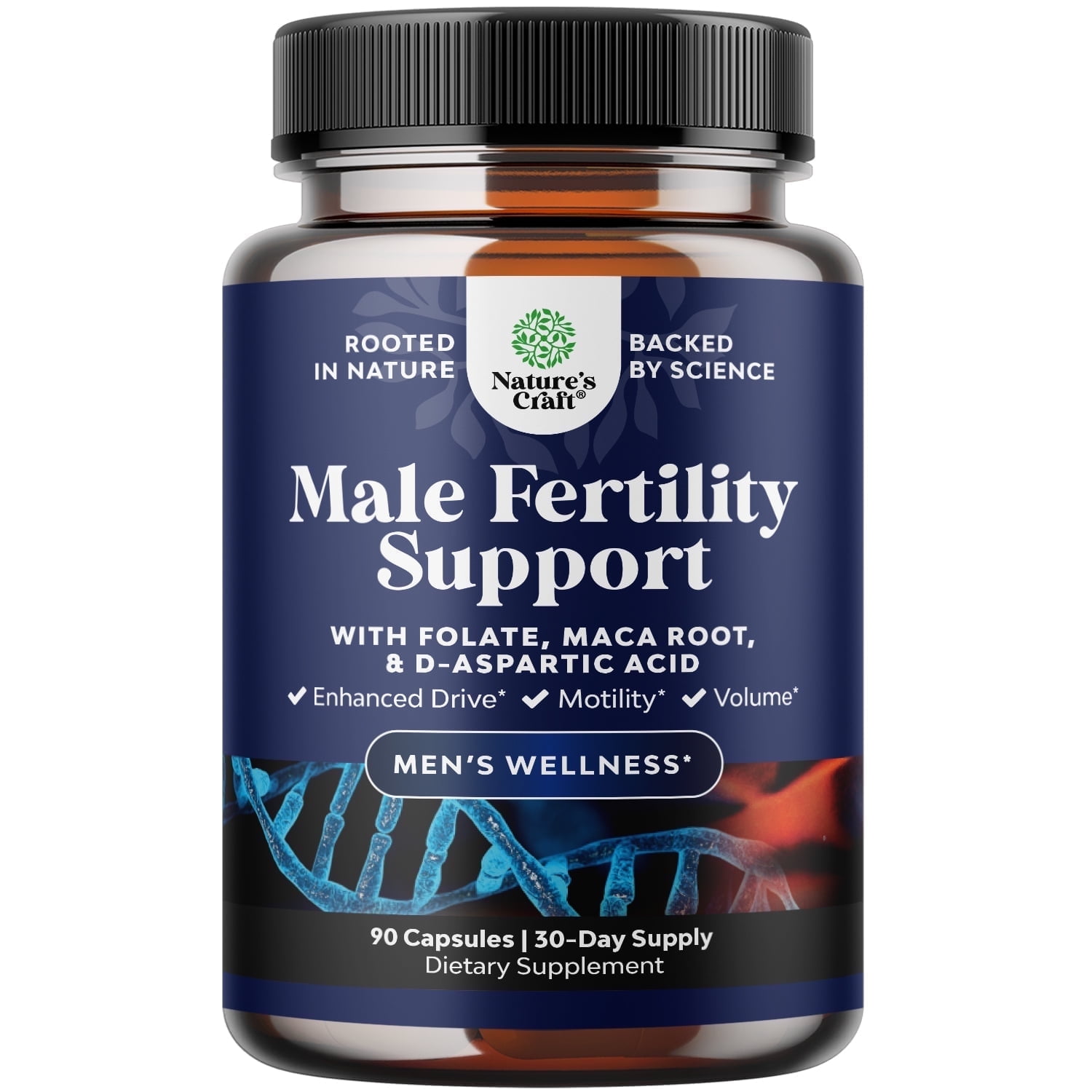 Men Pregnancy