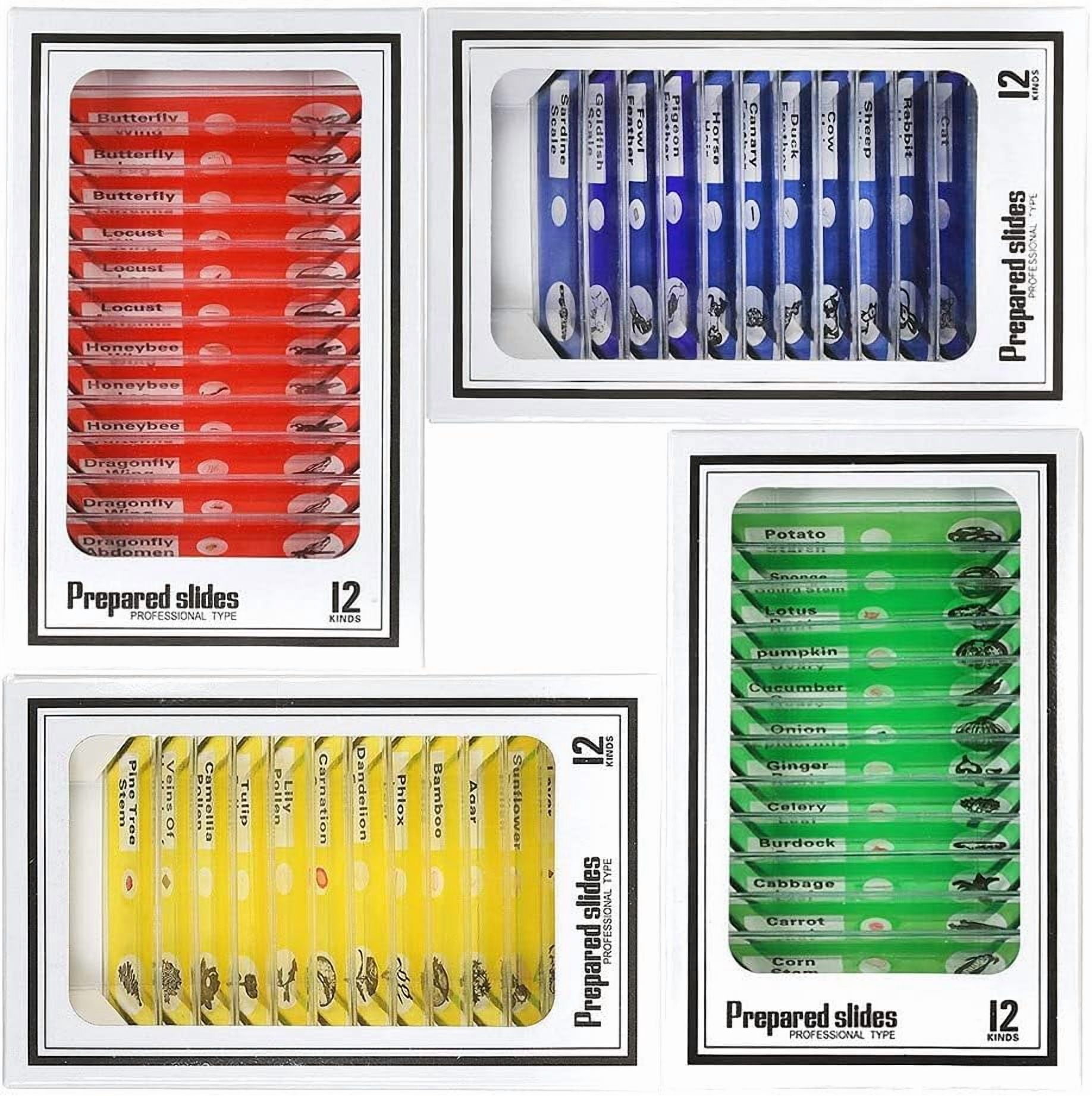 Prepared Microscope Slides for Kids, 48pcs Plastic Animals Insects ...