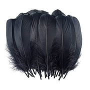 black feathers