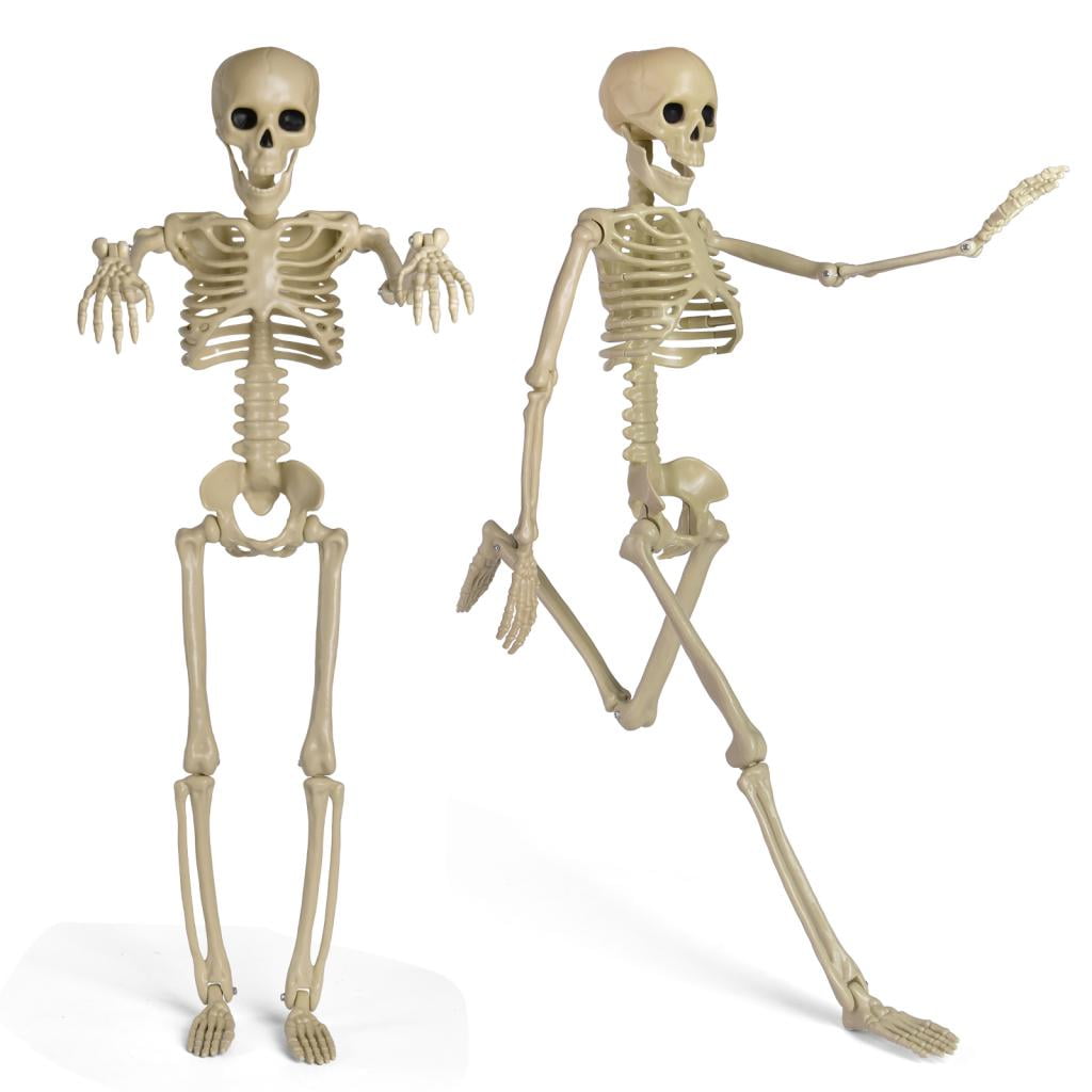 Presence 24-Inch Adjustable Skeleton Prop for Halloween, Outdoor Yard ...